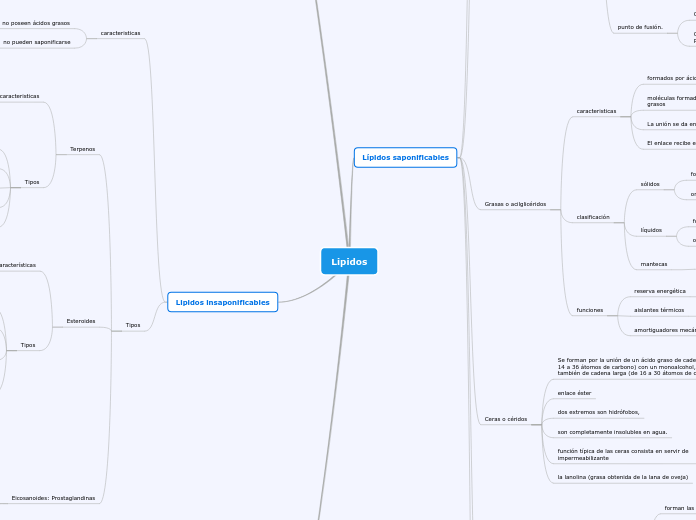 Central tema - Mind Map